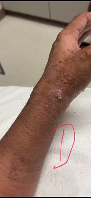 ANDREW LIM, MD - Updated December 2025 - 16 Reviews - 23560 Crenshaw ...