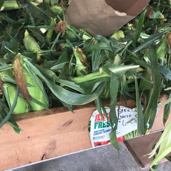 STELLA FARMS - Updated January 2026 - 20 Photos & 35 Real Reviews - 459 ...