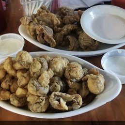 THE GATOR SHACK - Updated September 2025 - 103 Photos & 92 Reviews ...