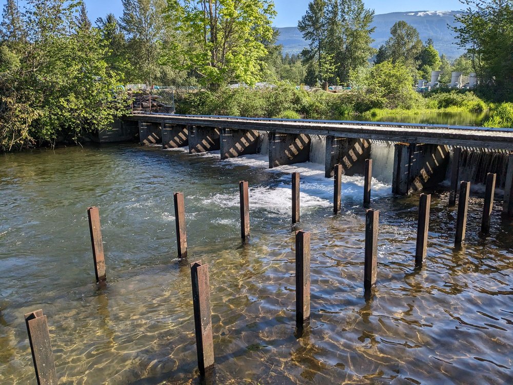 WALLACE RIVER SALMON HATCHERY - Updated December 2025 - 14 Photos ...
