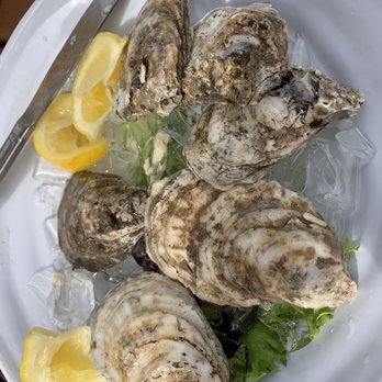 DUBLIN DECK - Updated October 2025 - 109 Photos & 187 Reviews - 325 ...