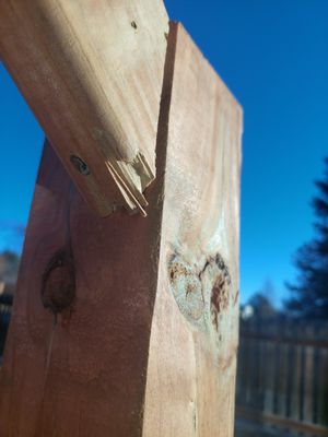 CHAMPION WINDOWS & HOME EXTERIORS OF DENVER - Updated November 2025 ...