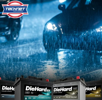 GO GREEN AUTO - Updated December 2025 - 43 Photos & 12 Reviews - 2510 E ...