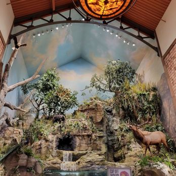 BASS PRO SHOPS - Updated December 2024 - 337 Photos & 157 Reviews - 71 ...