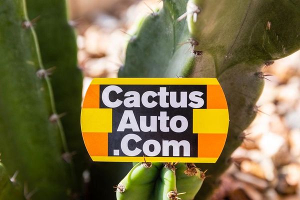 CACTUS AUTO - Updated May 2025 - 113 Photos & 60 Reviews - 1602 W ...