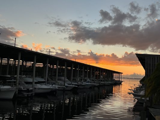 OZONA BLUE GRILLING - Updated October 2025 - 591 Photos & 735 Reviews ...