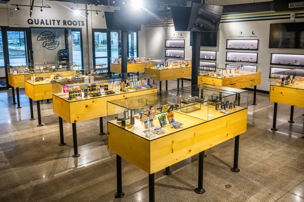 QUALITY ROOTS BERKLEY - Updated December 2025 - 13 Photos & 24 Reviews ...