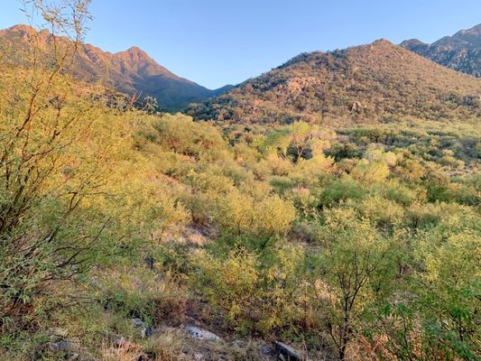 MADERA CANYON - Updated September 2024 - 105 Photos & 20 Reviews ...