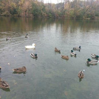 TREXLER MEMORIAL PARK - Updated October 2025 - 111 Photos - Springhouse ...