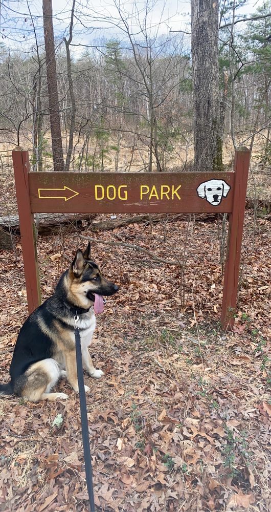 SOUTH RUN DOG PARK - Updated December 2025 - 18 Photos & 32 Reviews ...