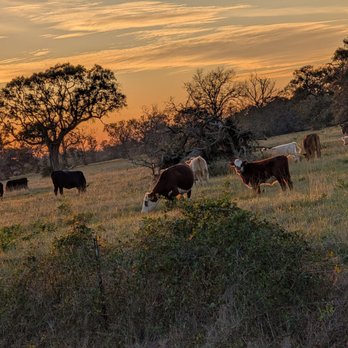 WATER STONE RANCH - Updated October 2025 - 190 Photos & 81 Reviews ...