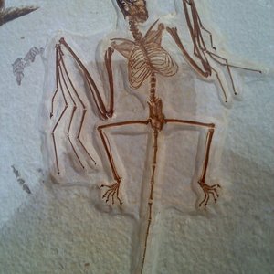 MAGEE JEWELRY - Updated January 2026 - 80 Spring St, Eureka Springs ...