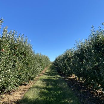 WAY FRUIT FARM - Updated December 2025 - 74 Photos & 45 Reviews - 2355 ...