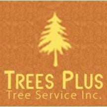 TREES PLUS TREE SERVICE - Updated October 2025 - 37 Bridge Ln ...