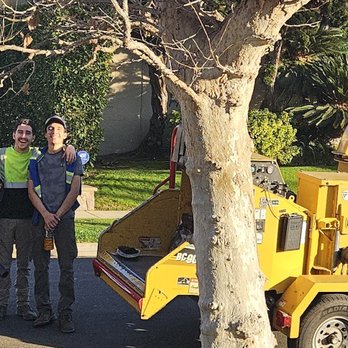 AFFORDABLE TREE CARE - Updated January 2025 - 2247 Photos & 1973 ...