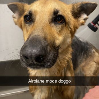 HUMANE SOCIETY - Updated December 2025 - 14 Photos & 17 Reviews - 909 ...