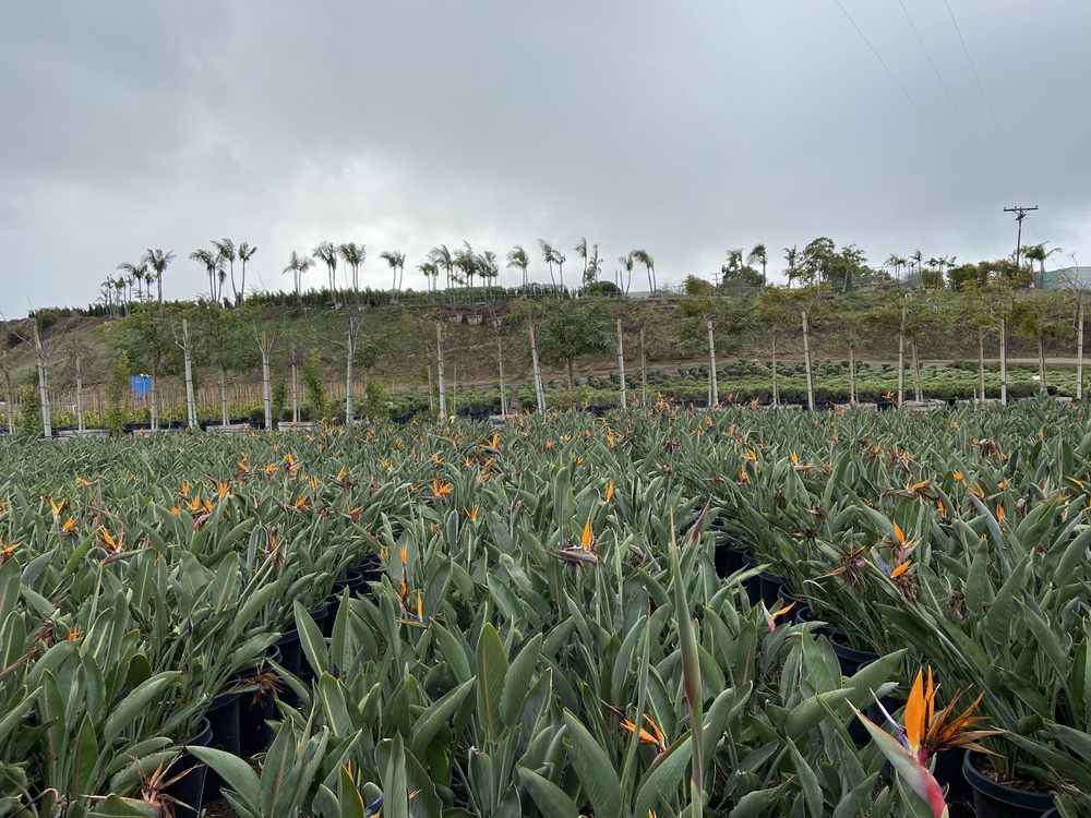 OTAY VALLEY REGIONAL PARK - 171 Photos & 19 Reviews - 2155 Beyer Blvd ...