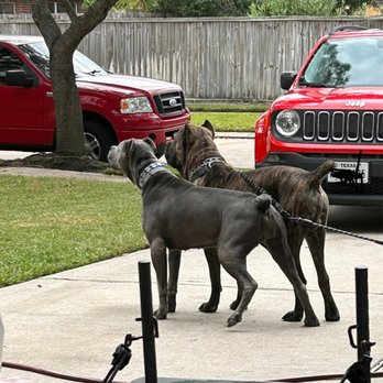 EAR TRIM - Updated October 2025 - 127 Photos & 77 Reviews - 2445 Farm ...