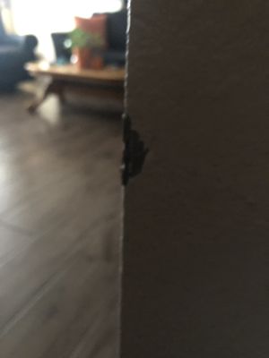 BEST BUY - MODESTO - Updated January 2026 - 21 Photos & 252 Reviews ...