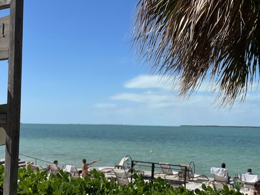 SAND BAR - Updated June 2024 - 12 Photos - 97450 Overseas Hwy, Key ...