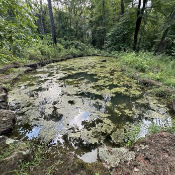 TYLER STATE PARK - Updated December 2025 - 194 Photos & 82 Reviews ...