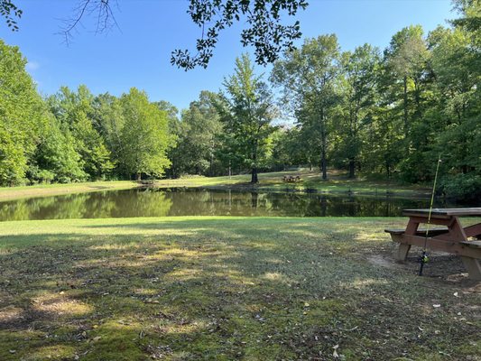 Damascus, AR Map & Directions - MapQuest