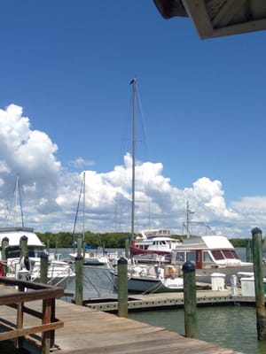 SAFE HARBOR CALUSA ISLAND - Updated October 2025 - 20 Photos & 14 ...