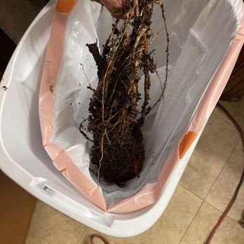 Goodbee Plumbing - Updated December 2025 - 27 Photos - 19 Reviews ...