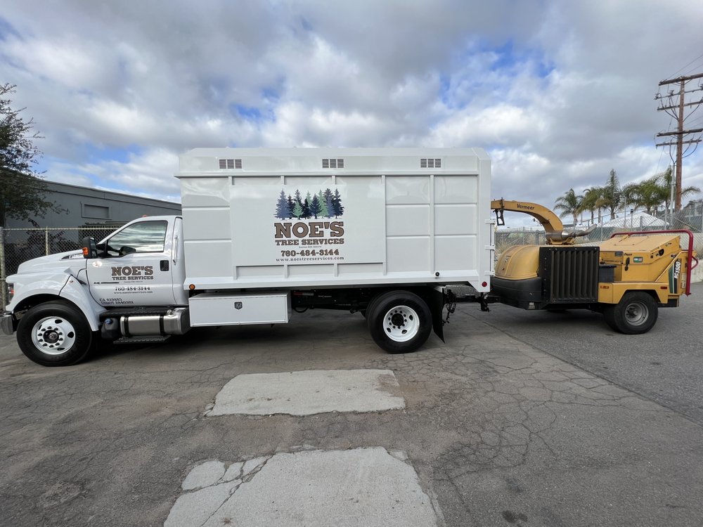 NOE’S TREE SERVICES - Updated October 2024 - 25 Photos - 251 N City Dr ...