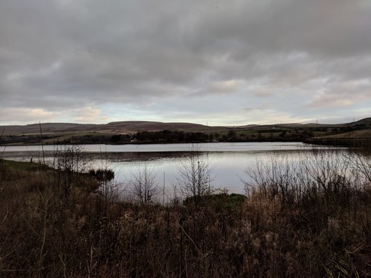 HOLLINGWORTH LAKE COUNTRY PARK - Updated October 2025 - 23 Photos ...