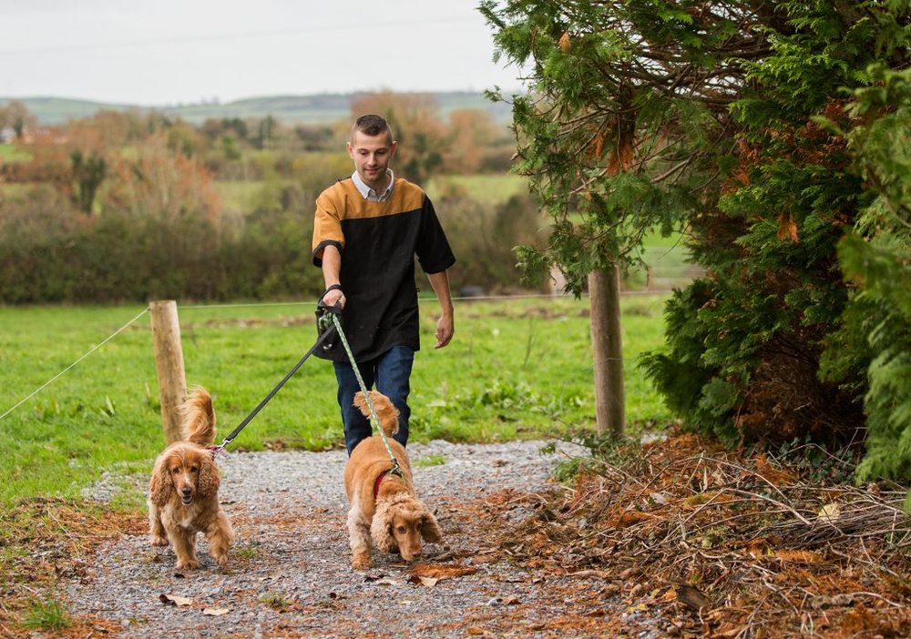 THE DAPPER YAPPER - Updated November 2025 - Request an Appointment ...