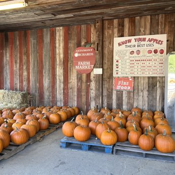 ALTAMONT ORCHARDS - Updated November 2025 - 25 Photos & 19 Reviews ...