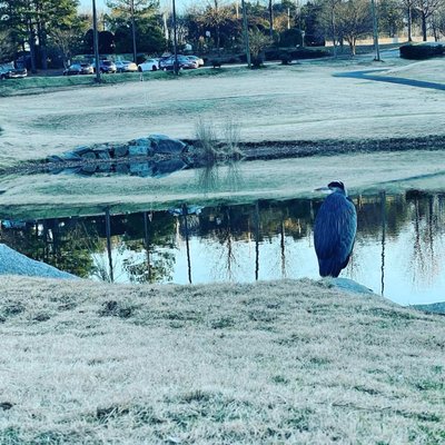 PARADISE VALLEY GOLF COURSE - Updated October 2025 - 11 Photos & 12 ...