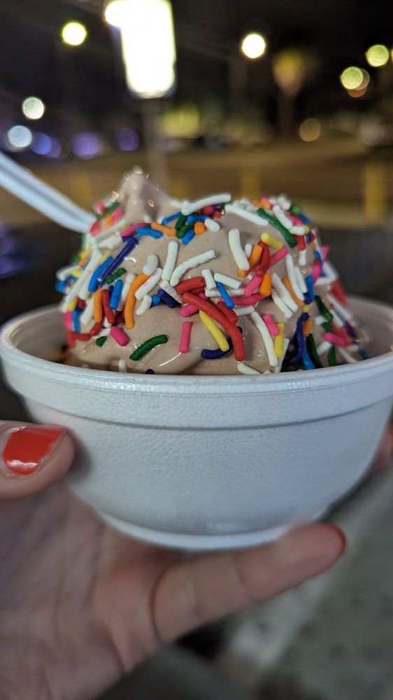 BO’S ICE CREAM - 181 Photos & 263 Reviews - 7101 N Florida Ave, Tampa ...