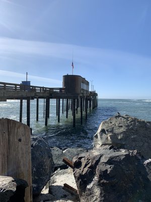 POINT ARENA PIZZA - 46 Photos & 49 Reviews - 790 Port Rd, Point Arena ...