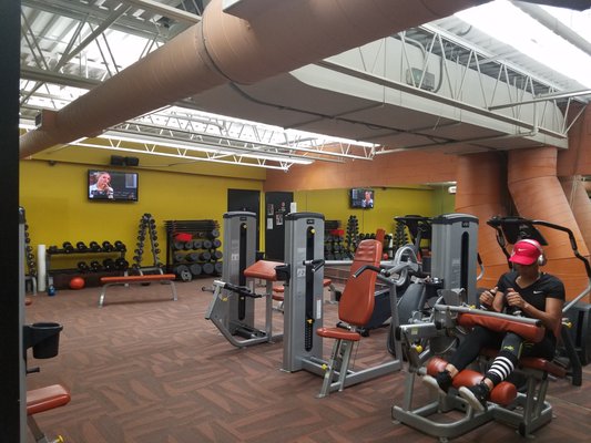 GOLD’S GYM - Updated July 2025 - 37 Photos & 126 Reviews - 1625 Crofton ...