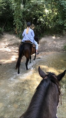 TEXAS TRAIL RIDES - 95 Photos & 104 Reviews - 8601 Bluff Springs Rd ...