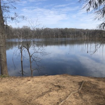 JACKSON LAKE ISLAND - Updated January 2026 - 56 Photos & 15 Reviews ...