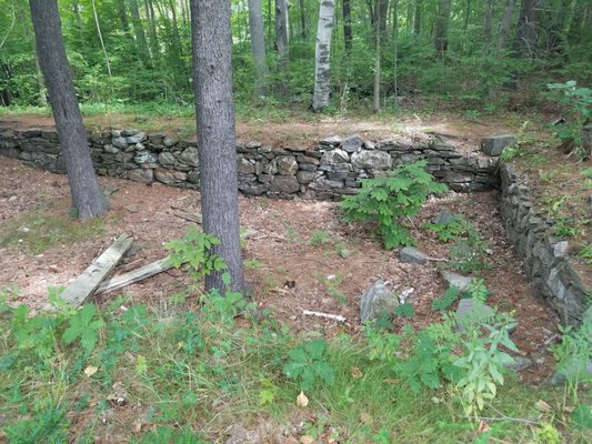 WINDHAM RAIL TRAIL - 31 Photos & 15 Reviews - 6 Depot Rd, Windham, New ...