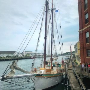 ARGIA MYSTIC CRUISES - 67 Photos & 45 Reviews - 12 Steamboat Wharf ...