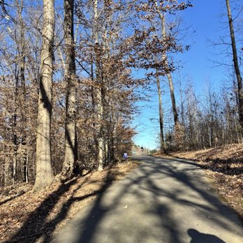 WEDDINGTON ROAD DOG PARK - Updated October 2025 - 25 Photos & 15 ...