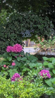 THE SECRET GARDEN TEA ROOM & GIFT SHOP - Updated January 2026 - 259 ...