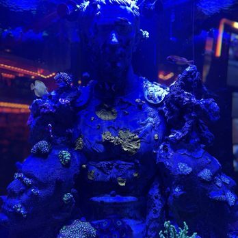 MOLOKO - Updated August 2025 - 153 Photos & 178 Reviews - 3967 N ...