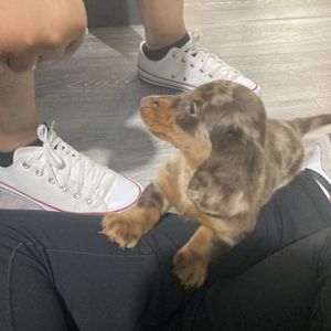 THE FISH ROOM - Updated July 2025 - 21 Photos & 35 Reviews - 5205 ...