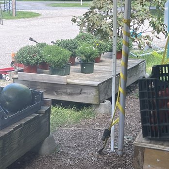 THERA FARMS - Updated May 2026 - 118 Photos & 26 Reviews - 1705 ...