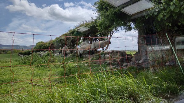 STRANDFIELD HOUSE - 42 Photos & 12 Reviews - Dundalk, Co. Louth ...