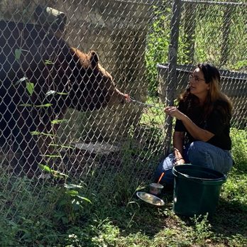 EVERGLADES OUTPOST - Updated December 2025 - 371 Photos & 102 Reviews ...