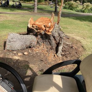 TRIANGLE BOWL - Updated December 2025 - 10 Photos & 32 Reviews - 700 ...