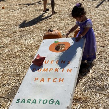 QUEENS PUMPKIN PATCH - TEMP. CLOSED - Updated April 2025 - 231 Photos ...