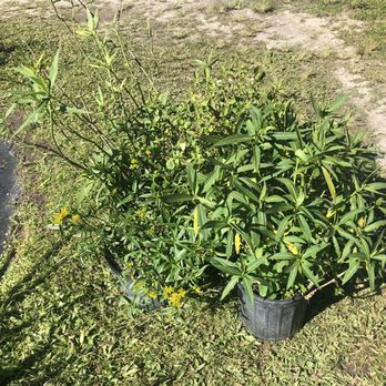 JESSE DURKO’S NURSERY - Updated December 2025 - 114 Photos & 46 Reviews ...